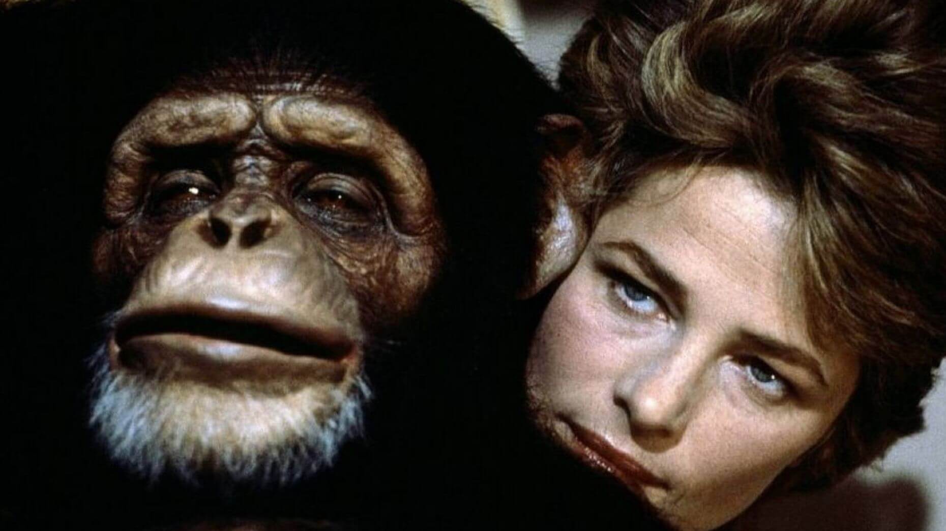 İstanbul Modern Sinema'da 'İnsan Hayvan' - Altyazı Sinema Dergisi